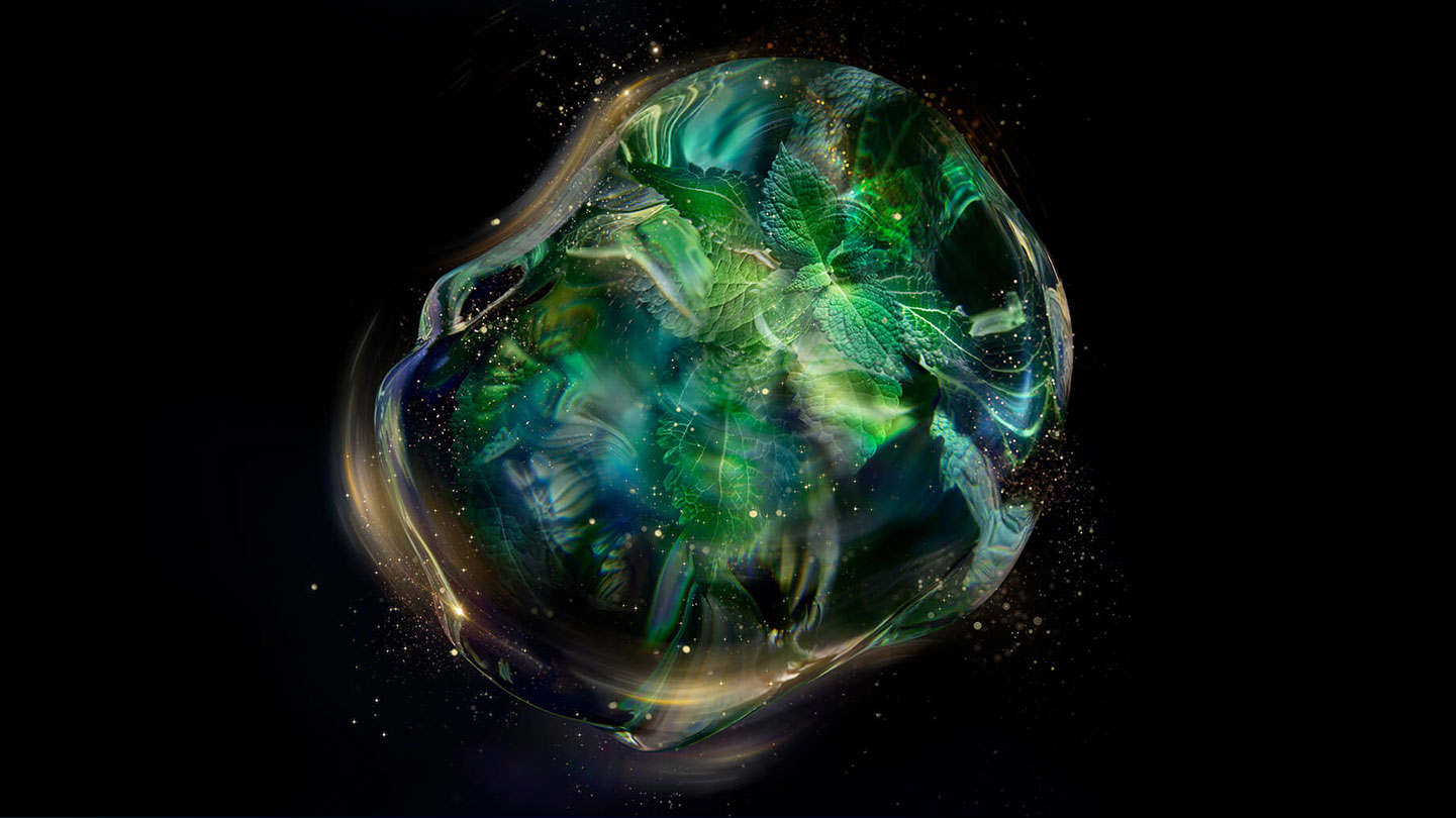 EYE AND LIP CONTOUR REGENERATING CREAM - FUTURE SOLUTION LX | SHISEIDO